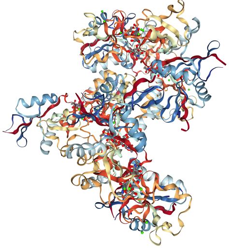 Dc Signcd209 Protein Overview Sino Biological