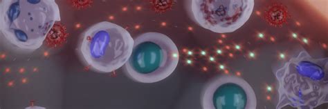 Inflammatory Biomarkers Across A Range Of Human Diseases