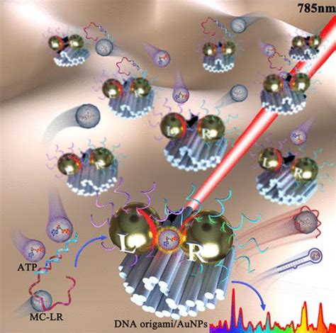 Atp Responsive Strand Displacement Coupling With Dna Origamiaunps