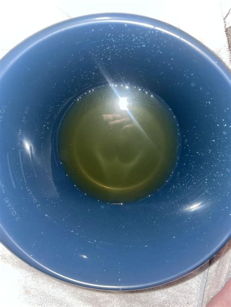 Oops Missed The Bowl R Peegonewild