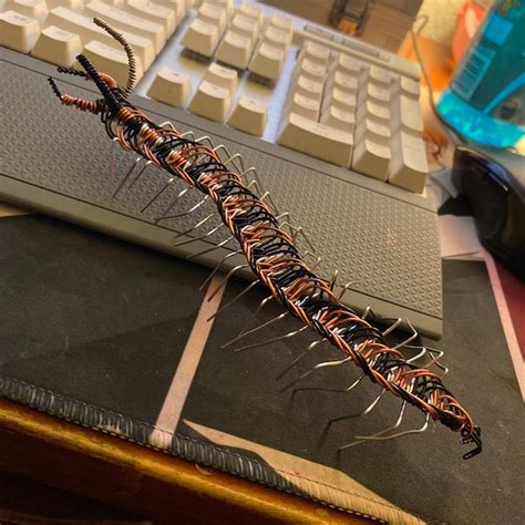 Wire Bugs Etsy