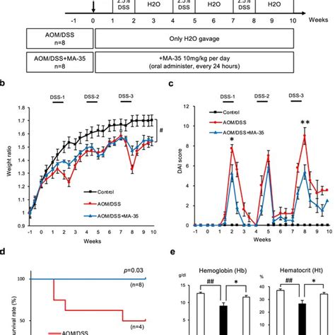 The Effects Of Ma 35 On The Aomdss Mouse Model A Experimental