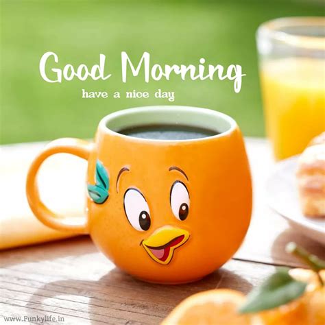 50 New Good Morning Images Photos Pictures Funky Life