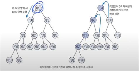 동적 계획법 dp