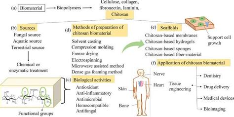 Recent Advancements In Applications Of Chitosan Based Biomaterials For
