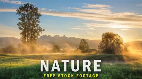 15 Spectacular Nature Stock Footage Royalty Free Stock Footage No