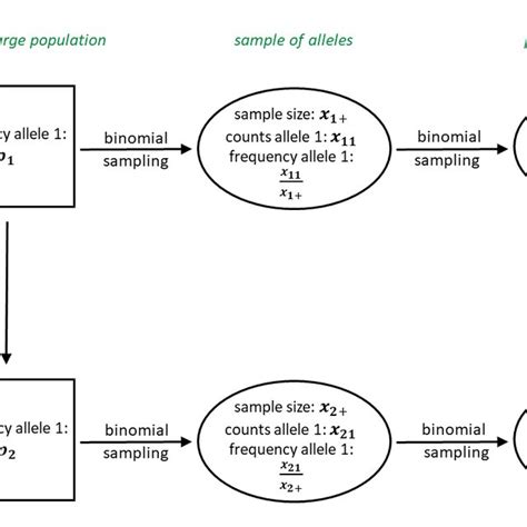 Sampling Schemes For The Scenarios With Genetic Drift And One Sampling