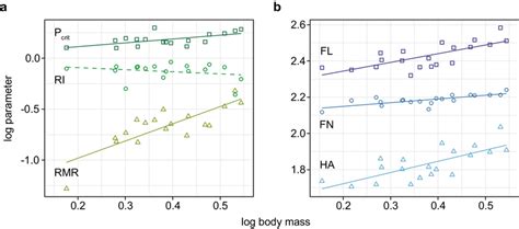 Allometric Scaling Of Respirometric Traits And Gill Morphometrics A