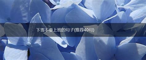 下雪不要上班的句子 推荐40句