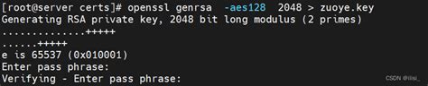 Linux使用域名访问web网站linux Web怎么访问站点 Csdn博客
