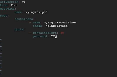 쿠버네티스의 특징 및 포드 pod 개념 Nginx pod yaml 작성 예시