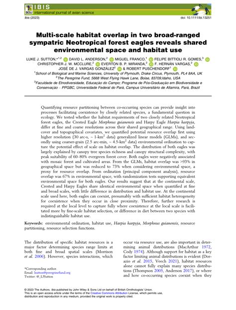 Pdf Multi‐scale Habitat Overlap In Two Broad‐ranged Sympatric Neotropical Forest Eagles
