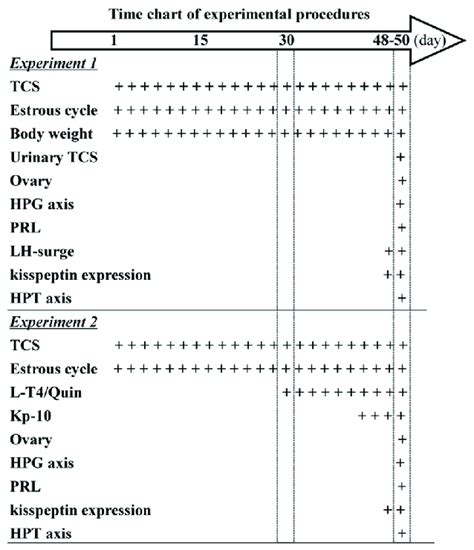 Time Chart Of Experimental Procedure Hollow Arrow Indicates Download Scientific Diagram