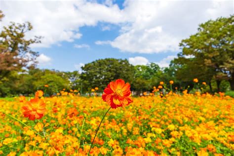 【名古屋・千種区】一人暮らしにオススメの街5選。住みやすさを徹底解説。 マンスリー48