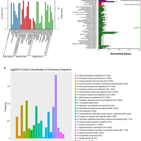 Enrichment Of Protein Coding Genes In A Go Terms B Kegg Pathways And