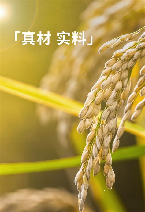 白象食品股份有限公司