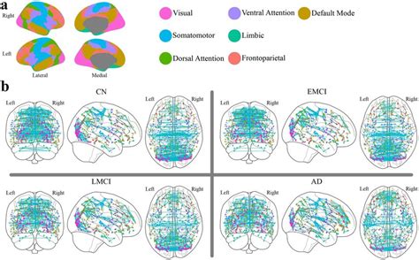The Overall Gradually Changing Patterns Of Highly Weighted Links Are