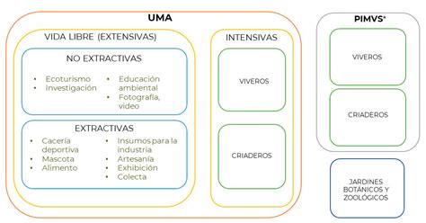 Umas Y Cites Biodiversidad Mexicana