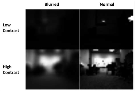 Input Images To The Algorithms Under Different Environments The Images