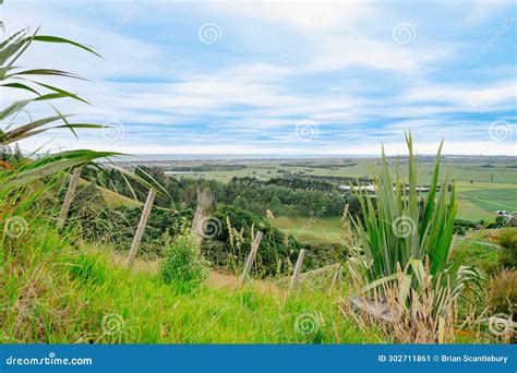 Rural And Coastal Expansive View From Papamoa Hills Regional Park Stock