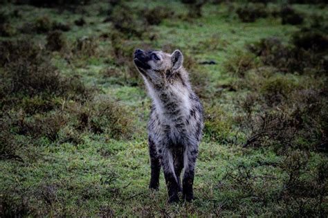 Gilbert Ombeva On Linkedin Kenya Adventureawaits Explorethewild