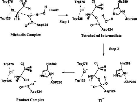Scheme 1 Schematic Representation Of The Steps Involved In The