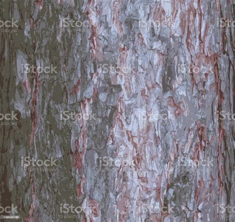 소나무 껍질 클로즈업의 현실적인 벡터 그림 Pinus Strobus 또는 Weymouth 소나무 줄기의 질감 살아있는 나무의