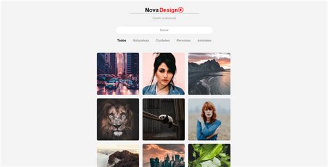 Portfolio SAMP