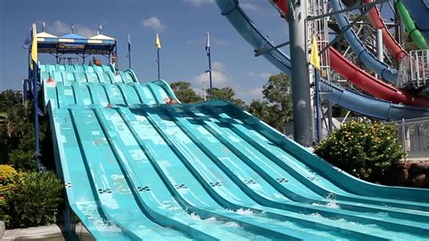 Wet N Wild Stock Video Footage 4k And Hd Video Clips Shutterstock