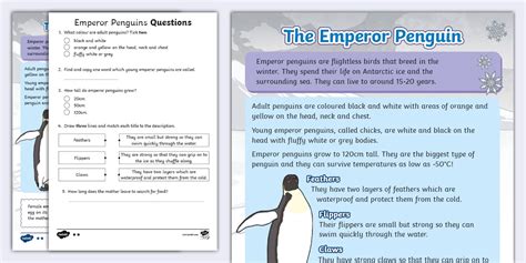 Ks1 Emperor Penguin Reading Comprehension Worksheet Twinkl