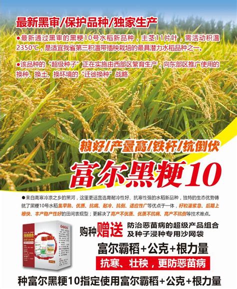 水稻拔节孕穗期田间养分温度水层管理