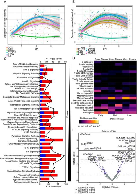Biomarker Discovery Pathway Analysis And Immune Cell Type Profiling