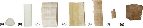 Comparison Of The Color Of Different Papyrus Samples A Cross Section Of