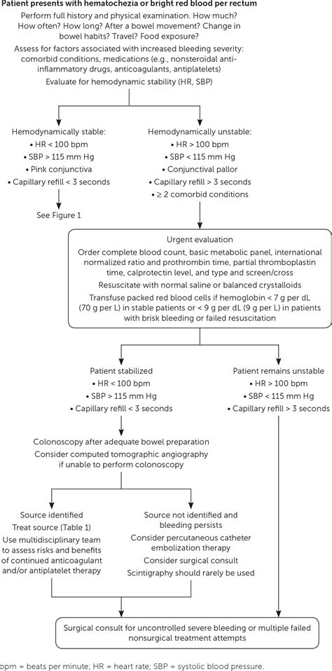 Acute Lower Gastrointestinal Bleeding Evaluation And Management Aafp