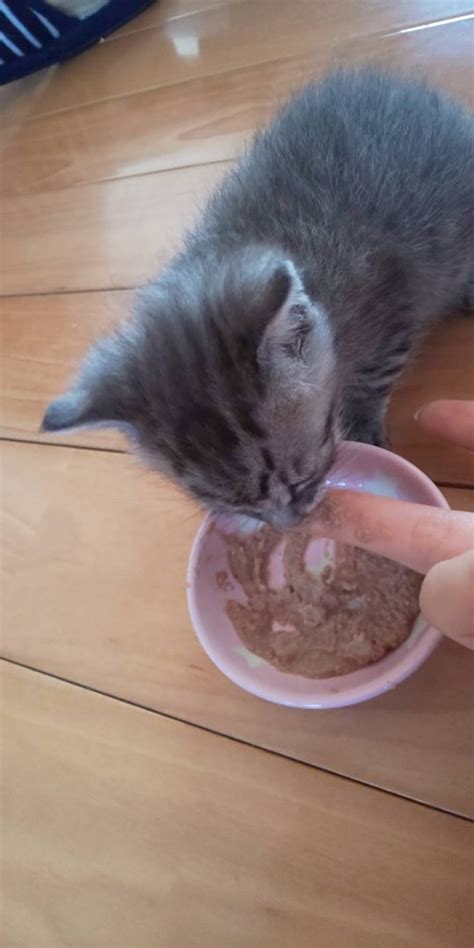 離乳食 。 あいな♪の ほんわかな毎日。