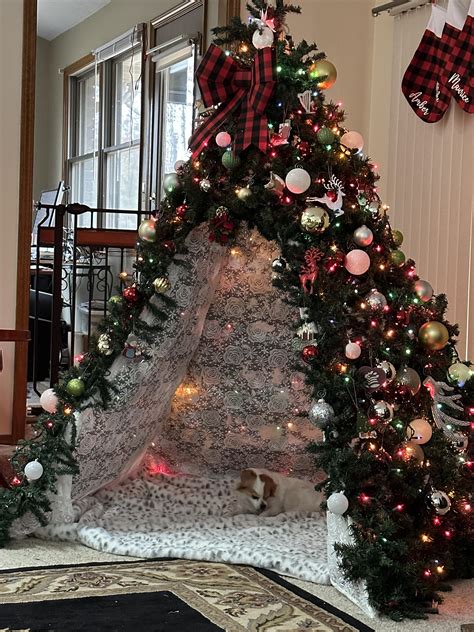 Our Teepee Tree R Pics