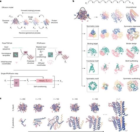 De Novo Design Of Protein Structure And Function With Rfdiffusion Lifeboat News The Blog