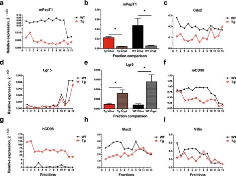 Proteins Associated With Villus And Crypt Are Disrupted In Cd98