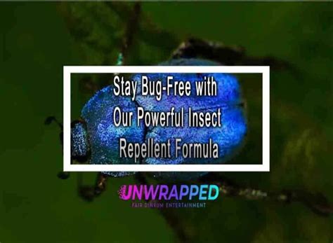 Stay Bug Free With Our Powerful Insect Repellent Formula