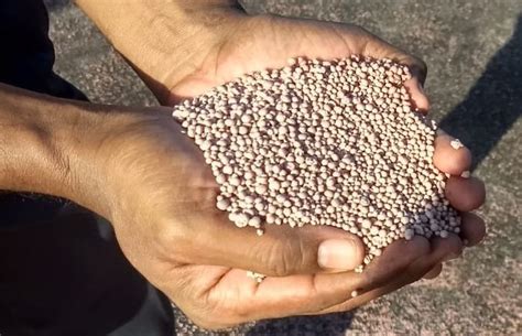 See The Subsidy Rates Cabinet Has Approved Today For Pandk Fertilisers