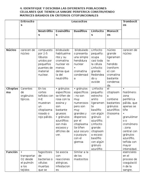 Pdf 4 Celulas Sanguineas Dokumentips