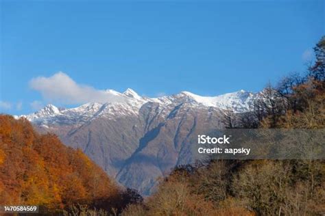 가을 풍경 범위 태양에 의해 조명 된 숲 나무의 노란색 붉은 단풍 멀리 높은 산에서 볼 수 있으며 눈 덮인 봉우리와 전나무가 푸른 안개에 있습니다 0명에 대한 스톡 사진 및