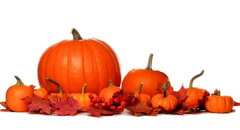 21 Pumpkin Theme Activities For Preschool And Kindergarten Empowered