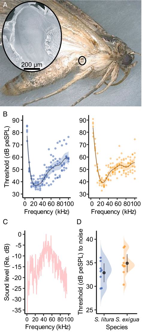 [pdf] sustainable pest control inspired by prey predator ultrasound
