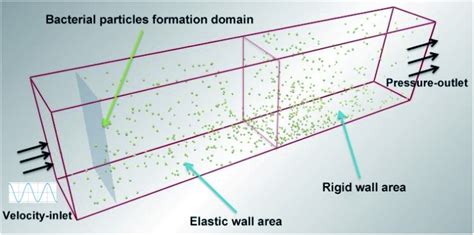 Schematic Diagram Of EDEMFLUENT Coupling Calculation Model The Download Scientific Diagram