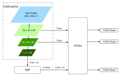 Pipeline Of The Lightweight Yolov4 The Size Of The Input Image Is 224