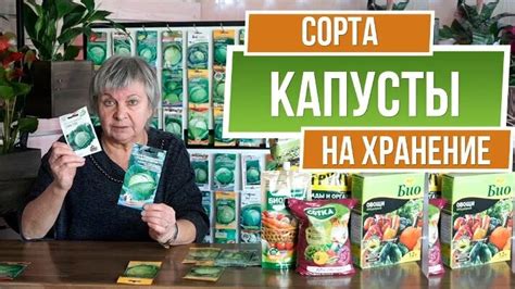 Видео Сорта Капусты для Квашения и Долгого Хранения Ok Ru Смотреть онлайн в поиске Яндекса