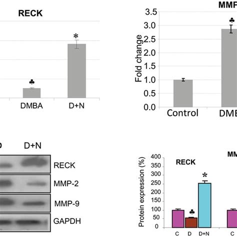 Nimbolide Upregulates Reck Expression A Qpcr Analysis Shows That