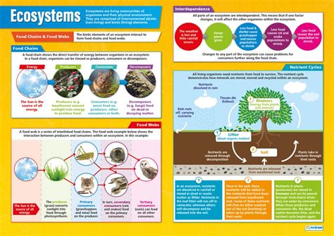 Ecosystems Geography Posters Laminated Gloss Paper Measuring 33 X