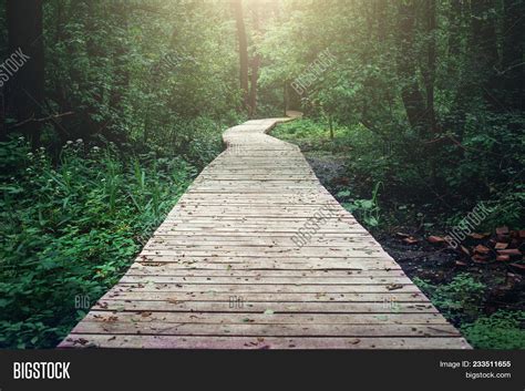 Wooden Pathway Through Image Photo Free Trial Bigstock